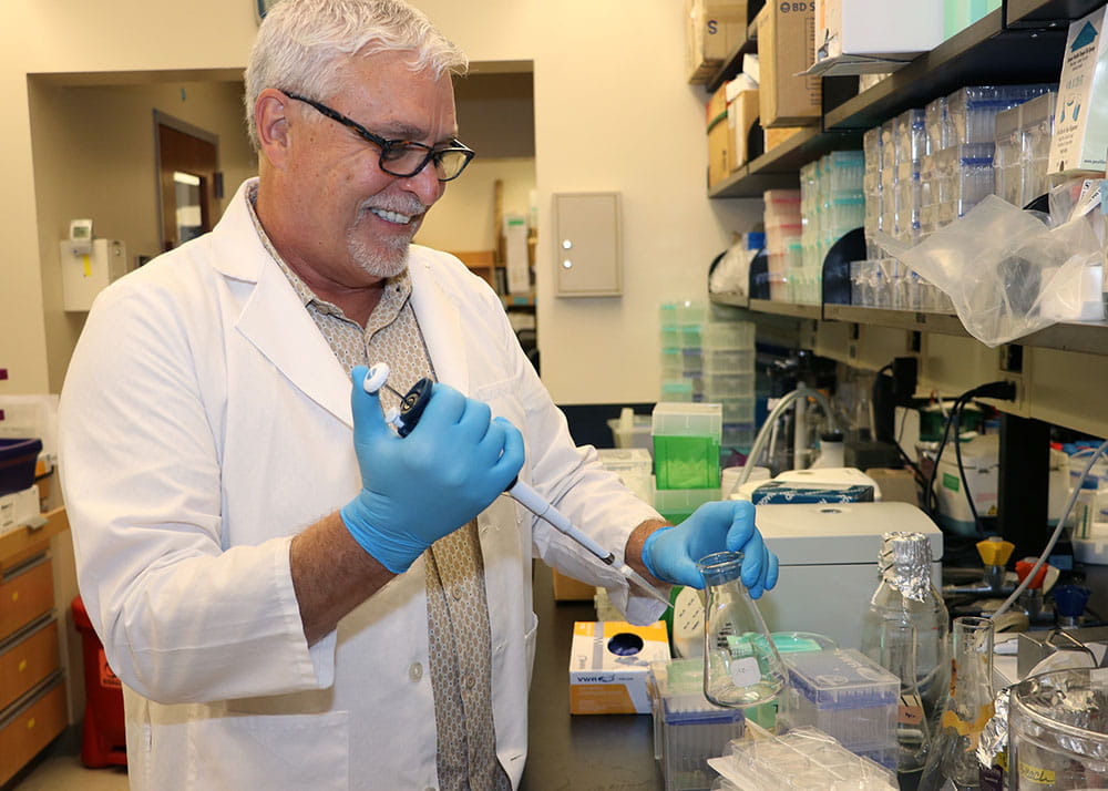 Researchers zero in on potential Achilles heel for breast cancer cells ...